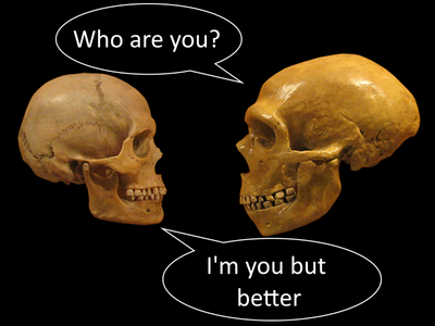 Is This What We Called Evolution Learning Memes Evolution