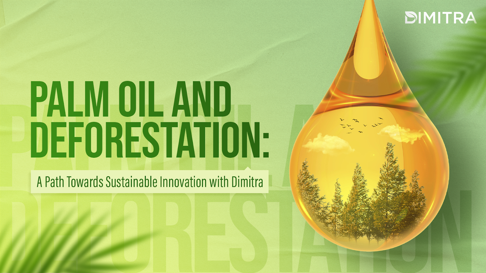 Deforestation Fueled By Global Palm Oil Production