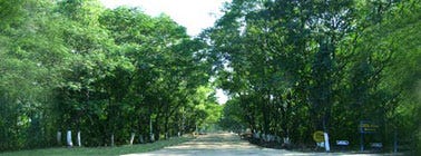 Top 10 Rural Development Projects Through Csr In India Csrbox