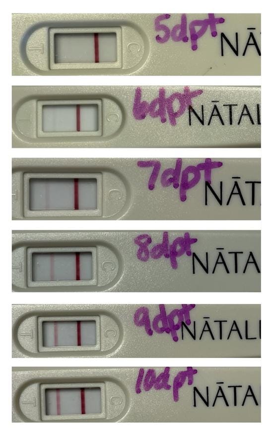 Positive Pregnancy Results
