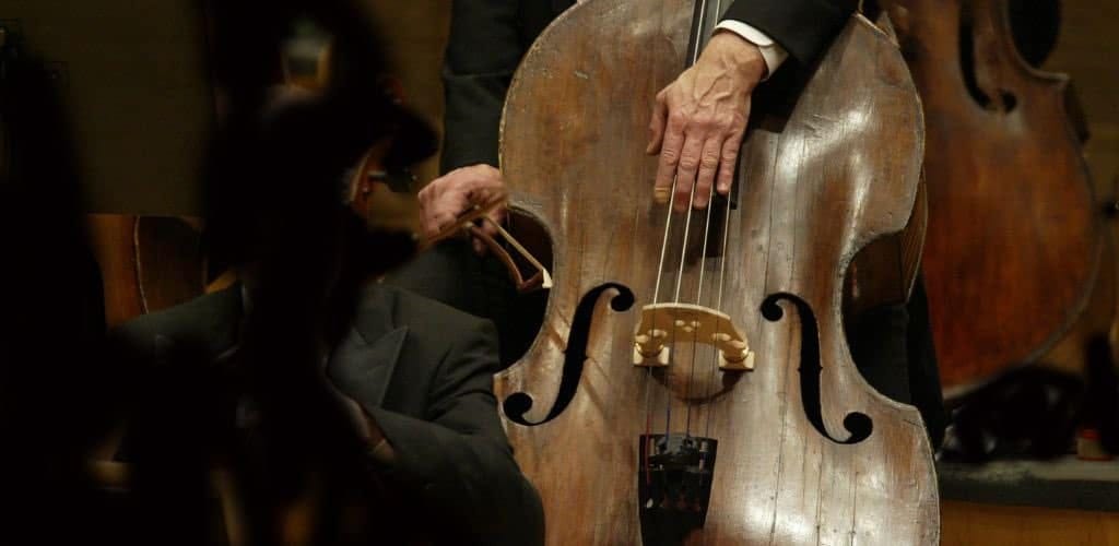 Double Bass London Symphony Orchestra Principal Double Bass One Of Six