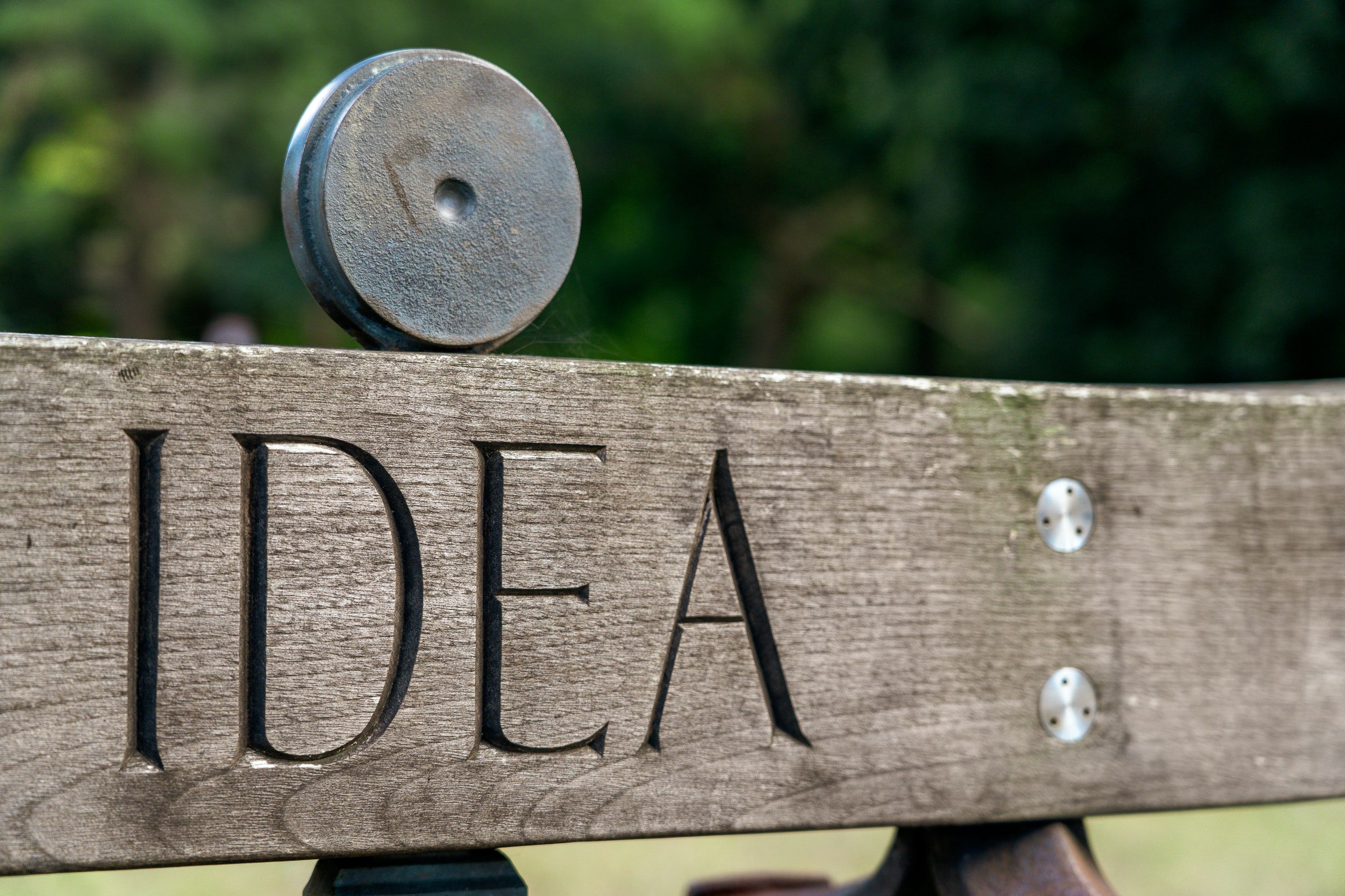 Ideas And Opinions Difference