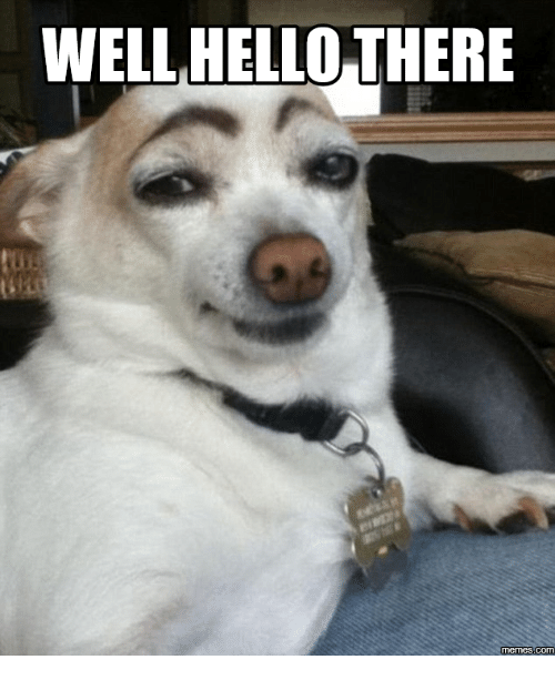 Hello There Meme Funny Best Funny Hello There Memes 9GAG