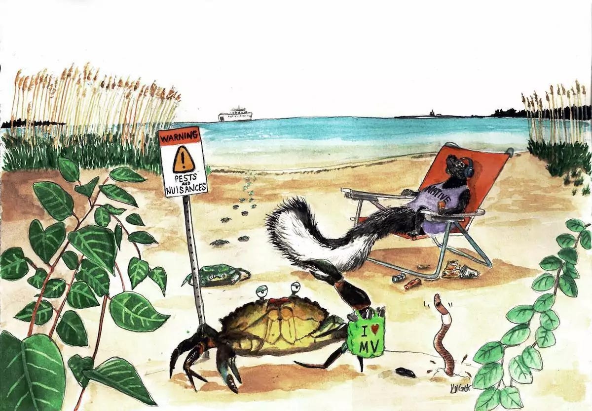 Introduced Species Drawing