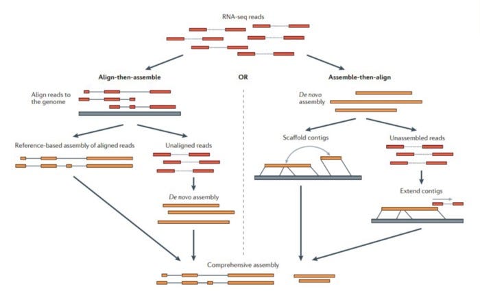 Transcriptie Initiatiediagram