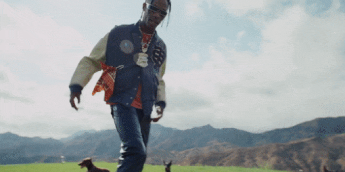 Travis Scott Performing Gifs