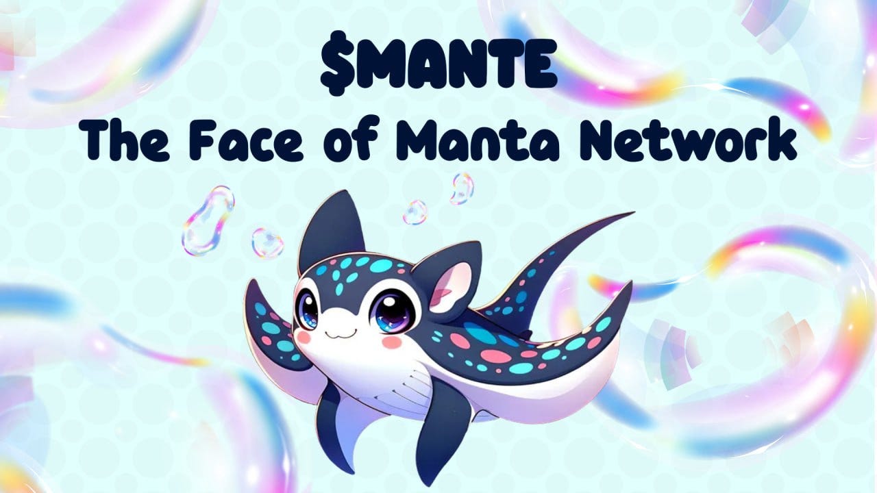 Memes Manta Manta Network | India On X: "1)/ Pesh Karte Hai MANTA