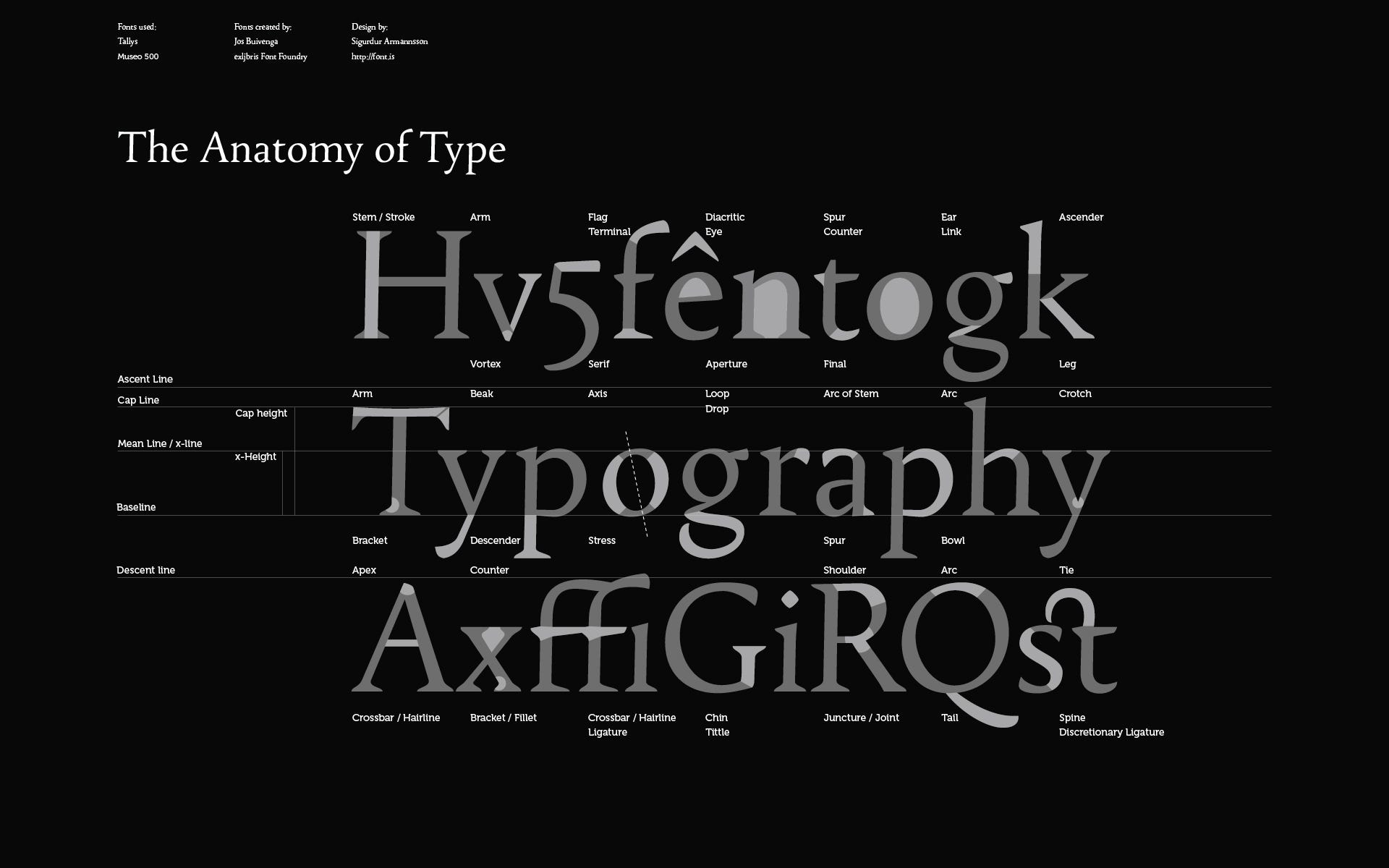 Type Anatomy Poster