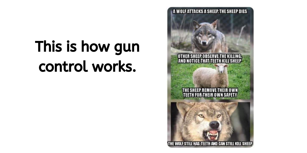 Gun Protection Memes