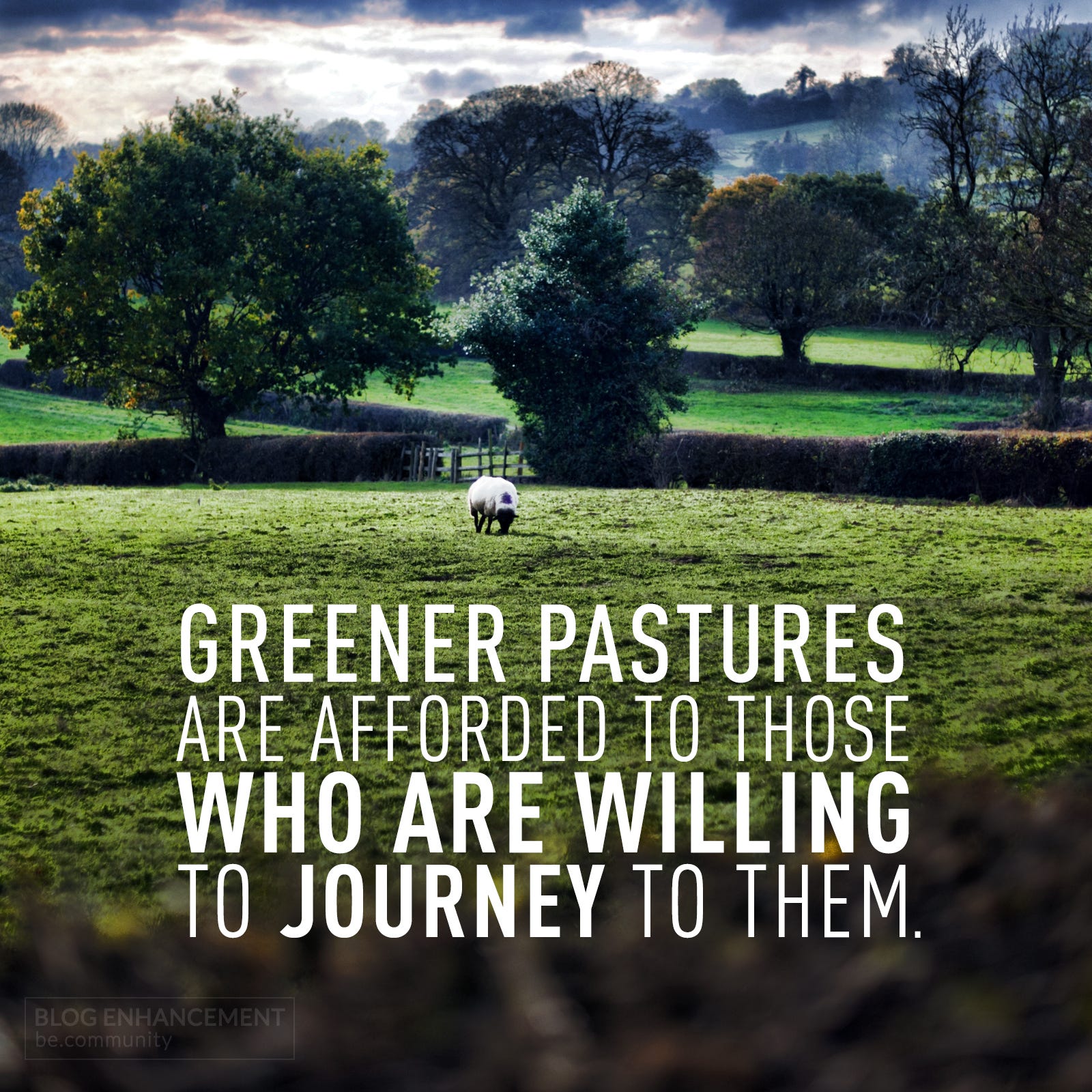 Pastures New Quotes