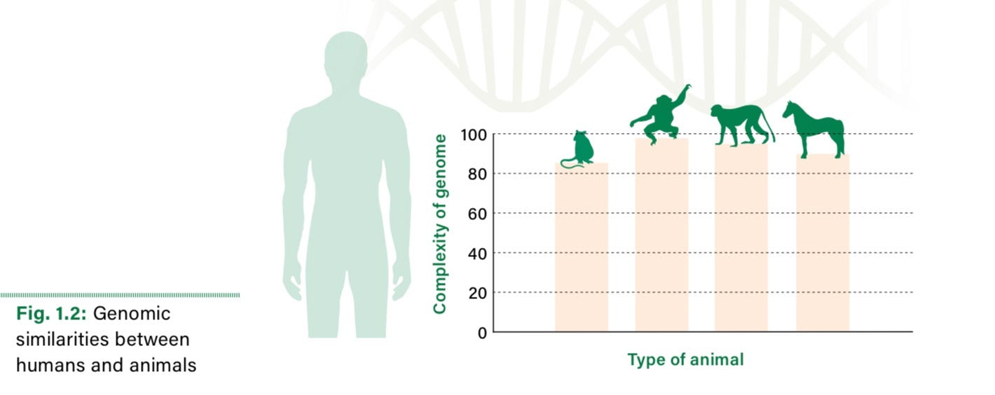Dna Similarities Between Humans And Animals