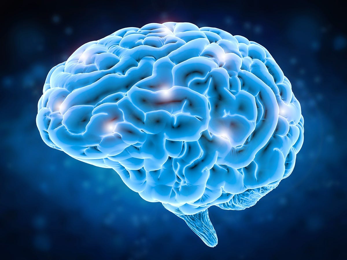 Awesome Facts About The Human Brain Dandelion199