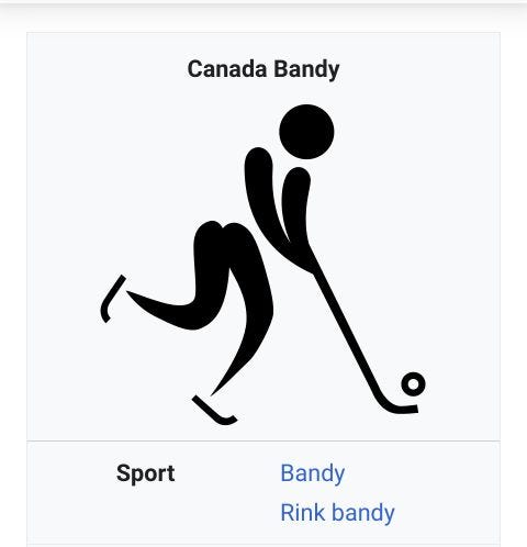 Canada National Bandy Team