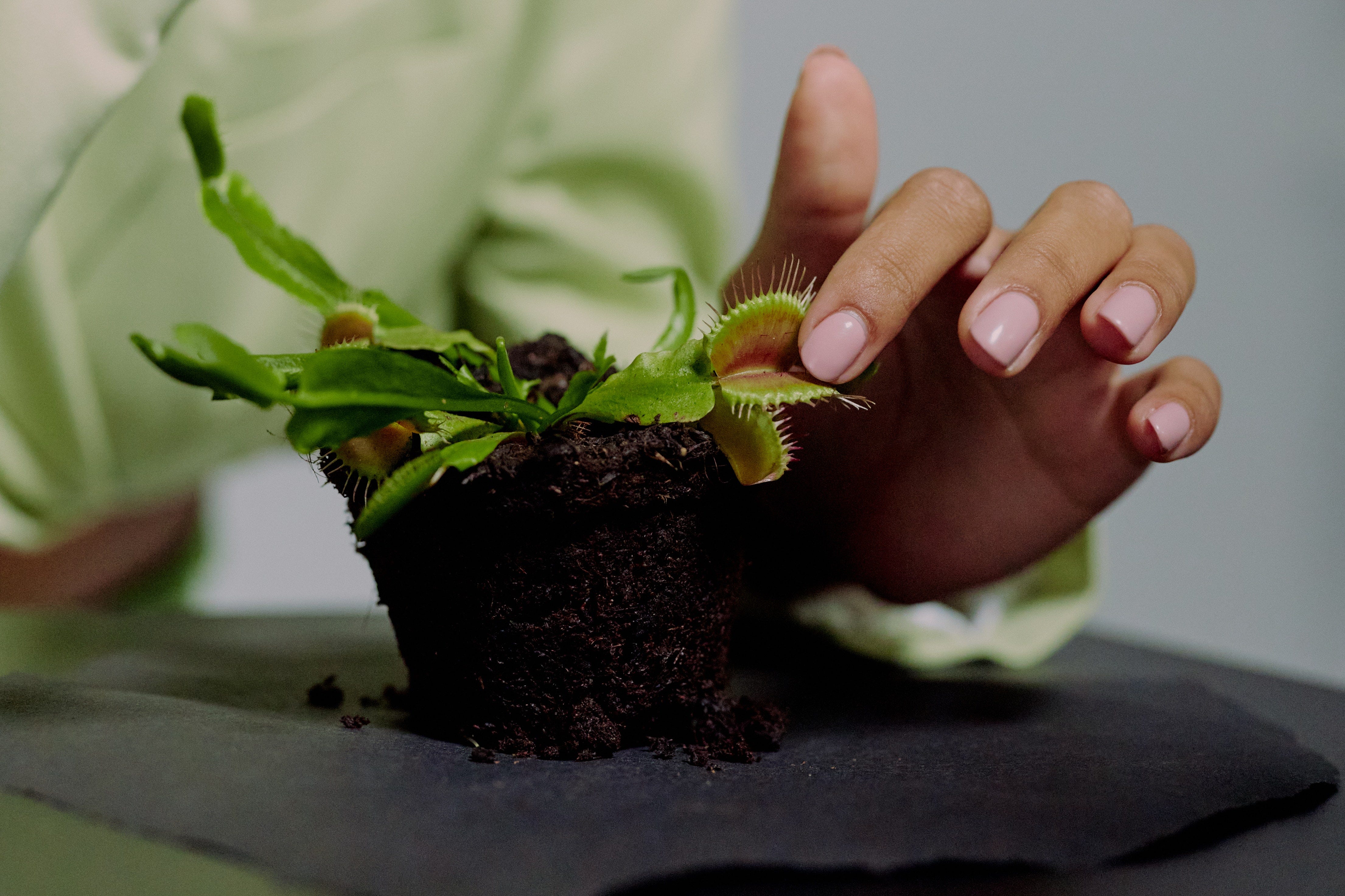 Human Eating Plants Pictures