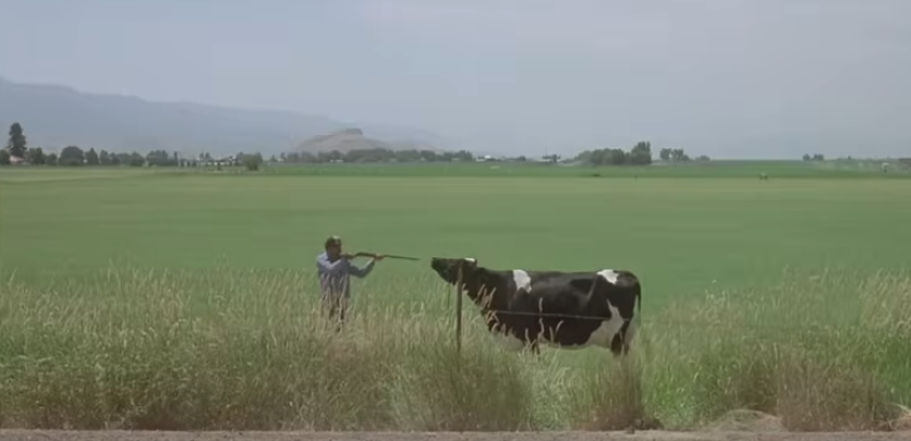 Doux Gif De Napoleon Dynamite
