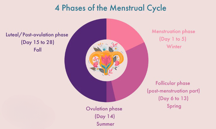 Menstrual Cycle Of Seasons