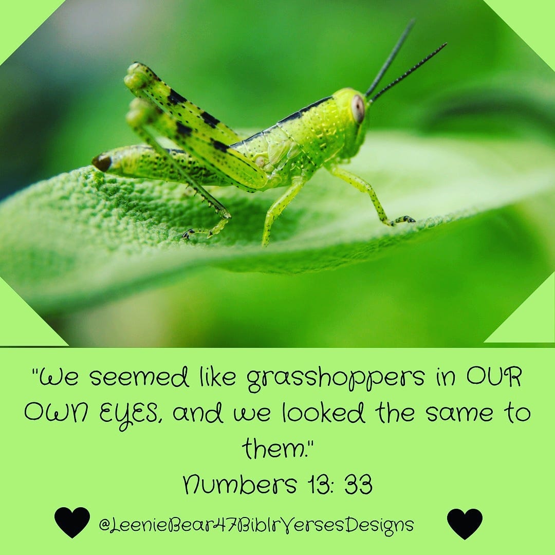 Grasshopper Insect Quotes Cartoon Grasshopper Insect On Grass Vector