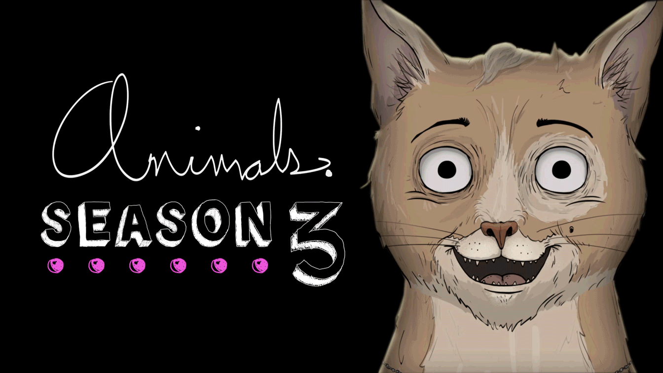 Dan And Phil Cat Whiskers Gif