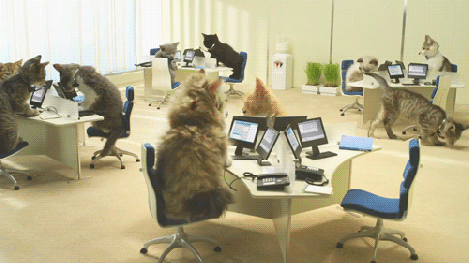 Asleep At Desk Gif