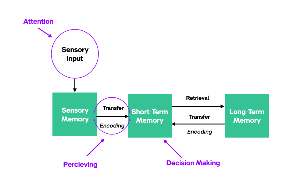 Sensory Memory Diagram A Multimode‐fused Sensory Memory System Based
