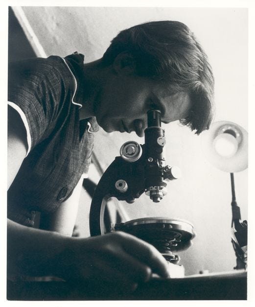 Rosalind Franklin Photo 51