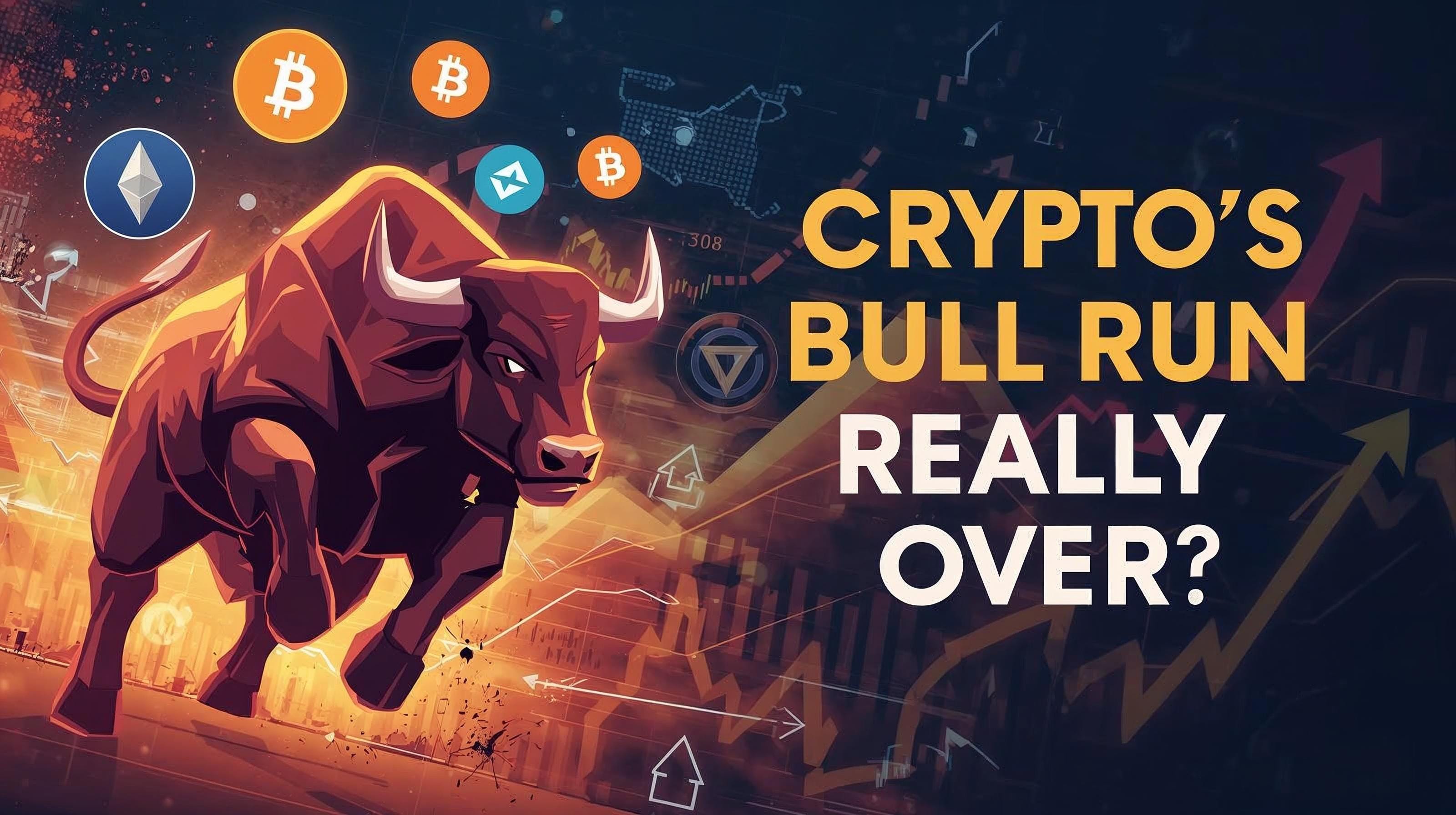 Crypto Bull Review 2021 All You Need To Know