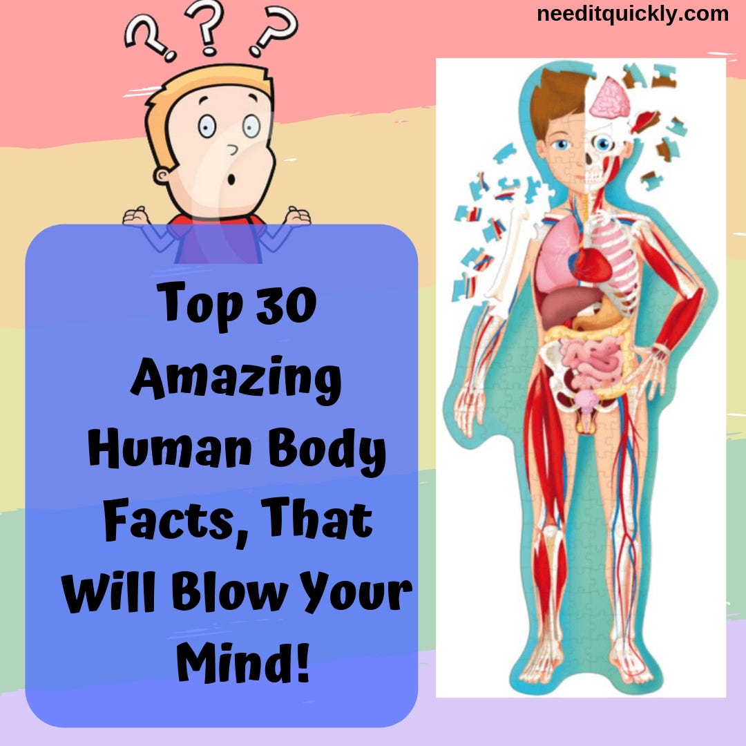 What Is A Fun Fact About The Human Body