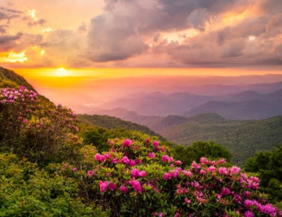 Natural Beauty In Nature Having Fun The 16 Most Beautiful Natural