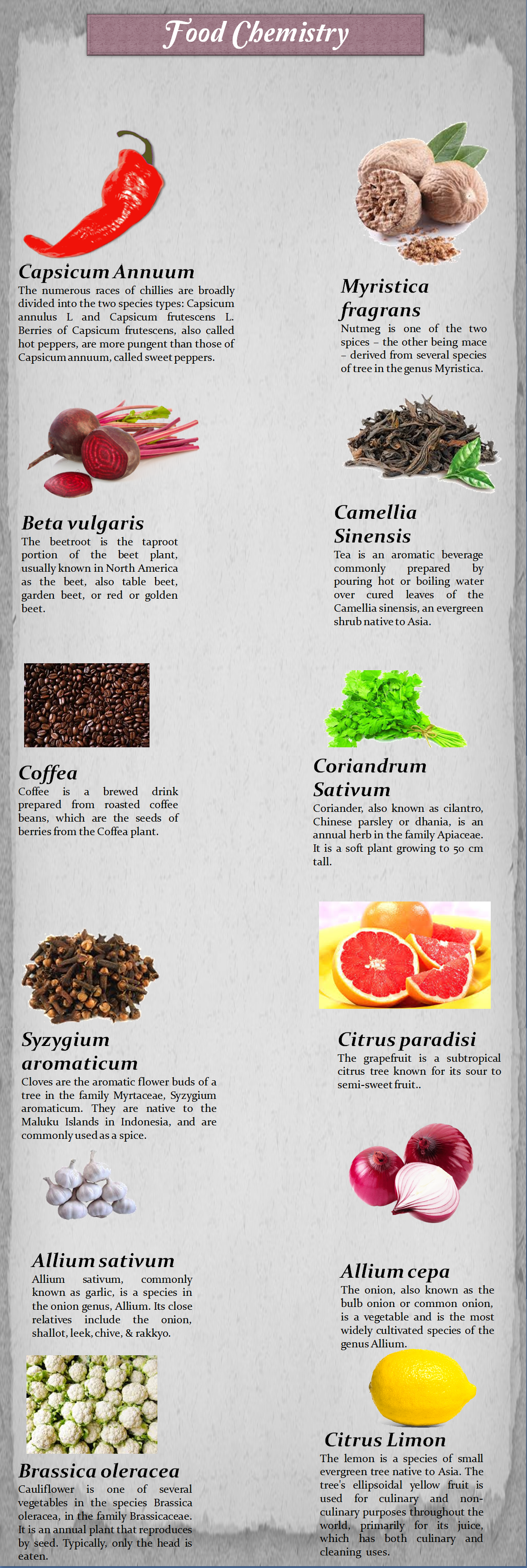 Scientific Names Of Vegetables Surmul Vegetables Names Learning Chart