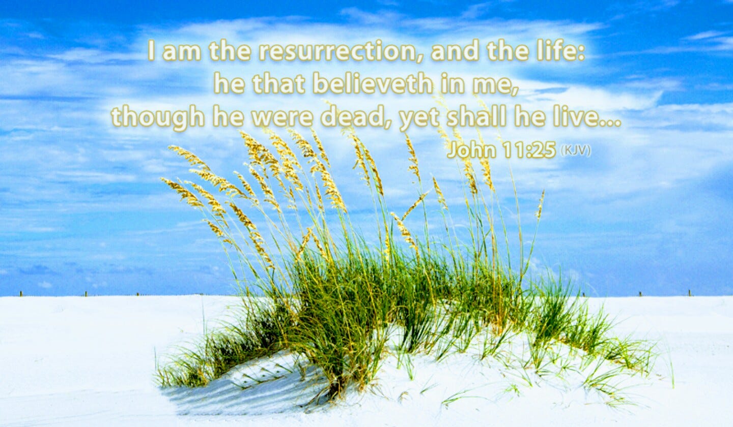 I Am The Resurrection And The Life