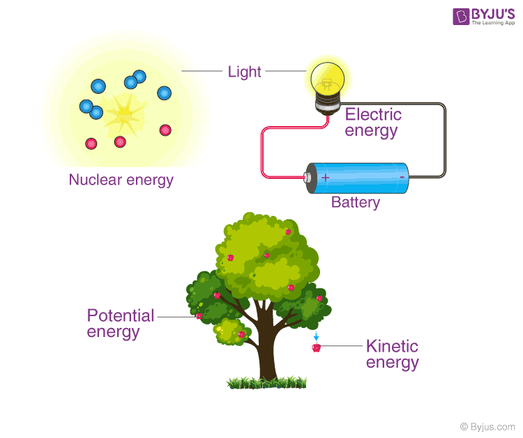 Law Of Conservation Of Energy Diagram