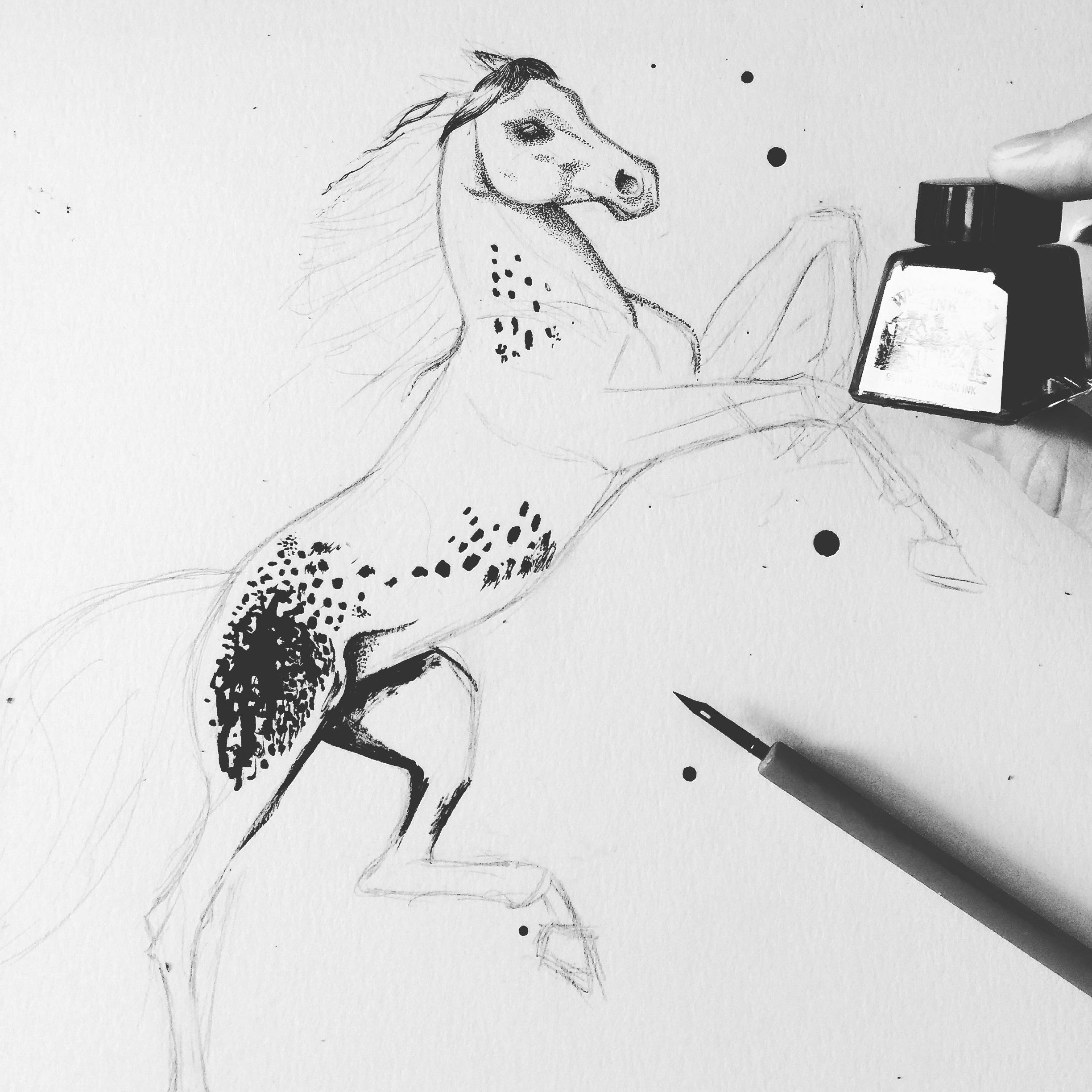 Appaloosa Horse Outline Appaloosa: Over 1,026 Royalty Free Licensable