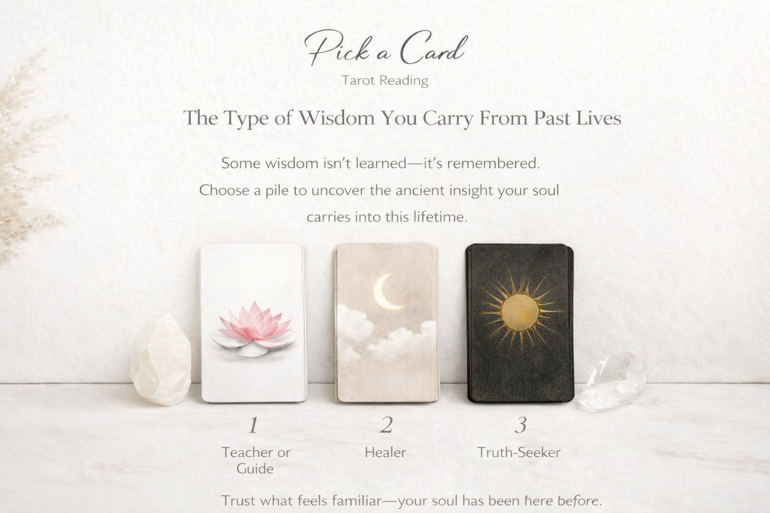 Tarot Card Reading Life Path
