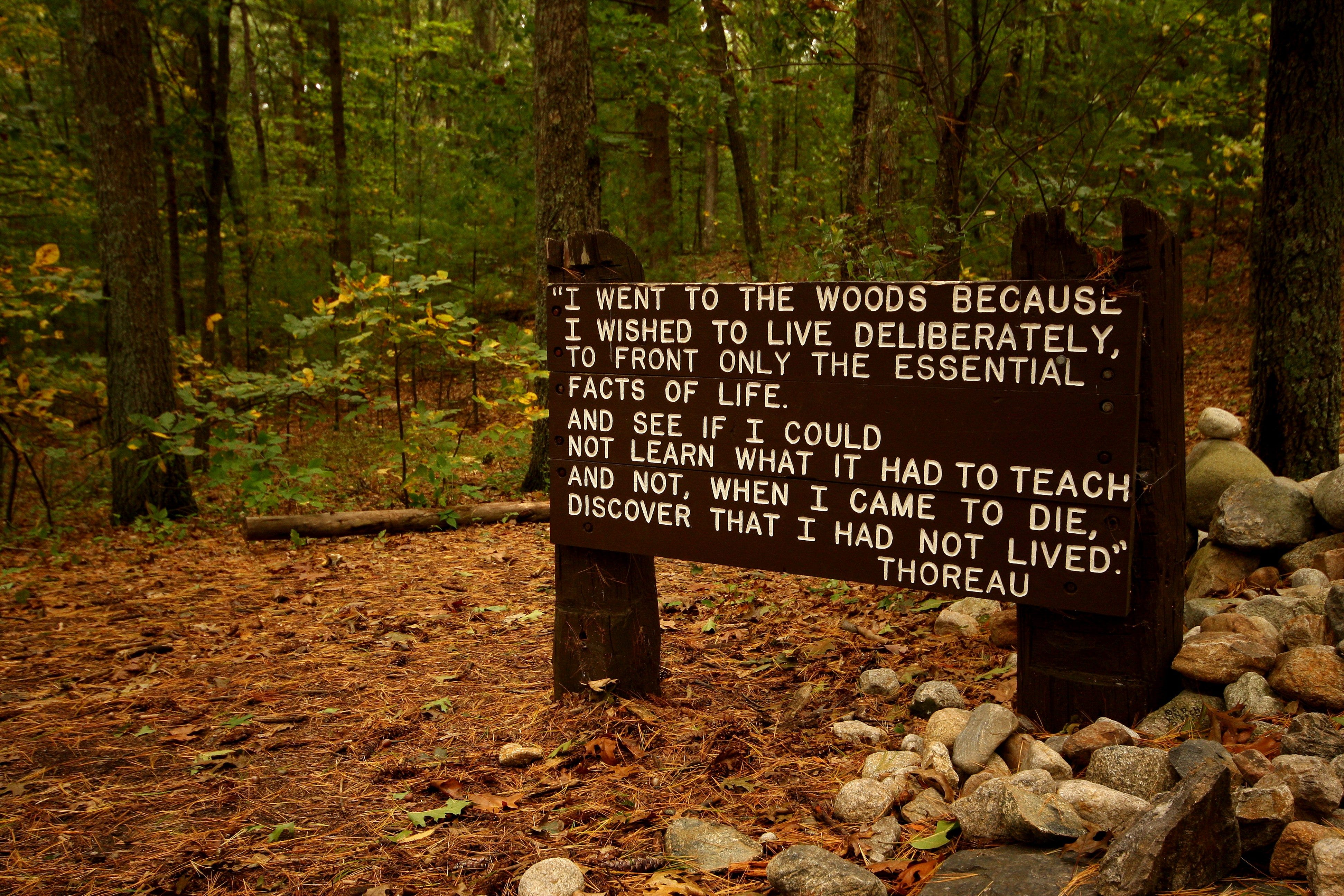 John Henry Thoreau Quotes 115 Henry David Thoreau Quotes That Paint
