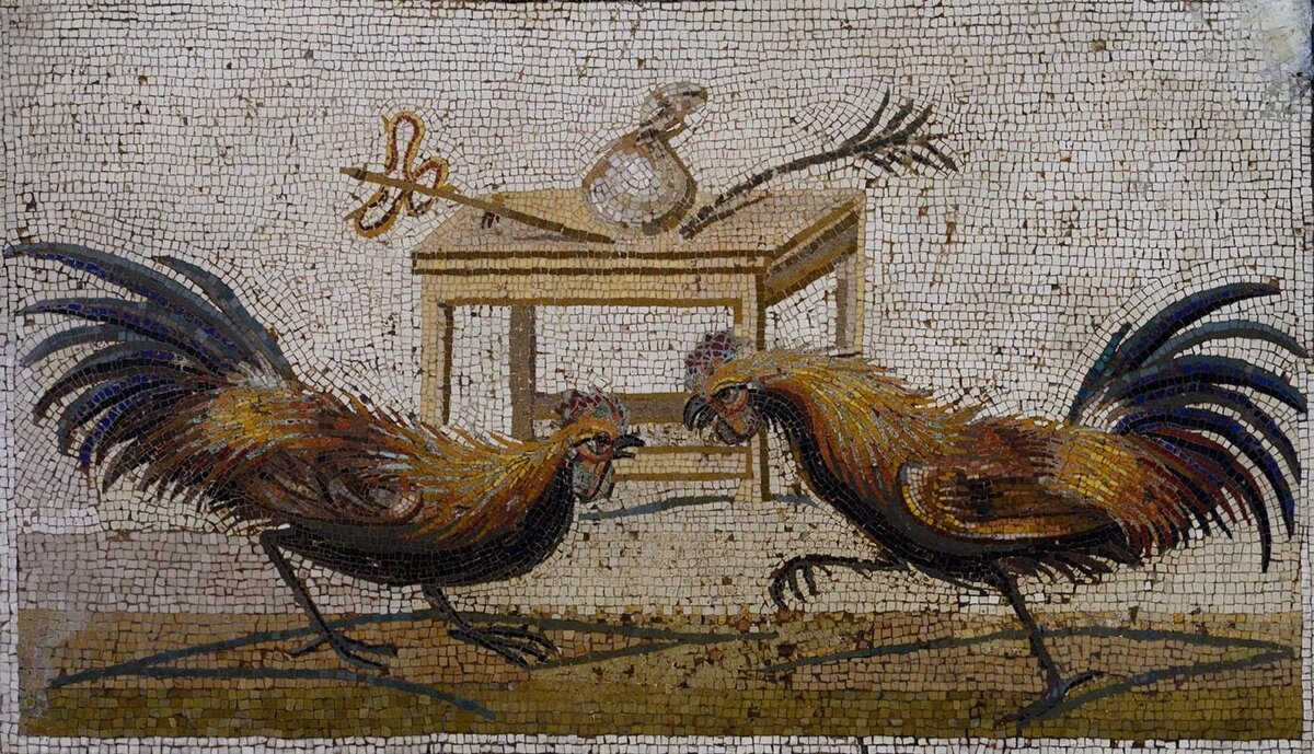 Roman Observing Birds