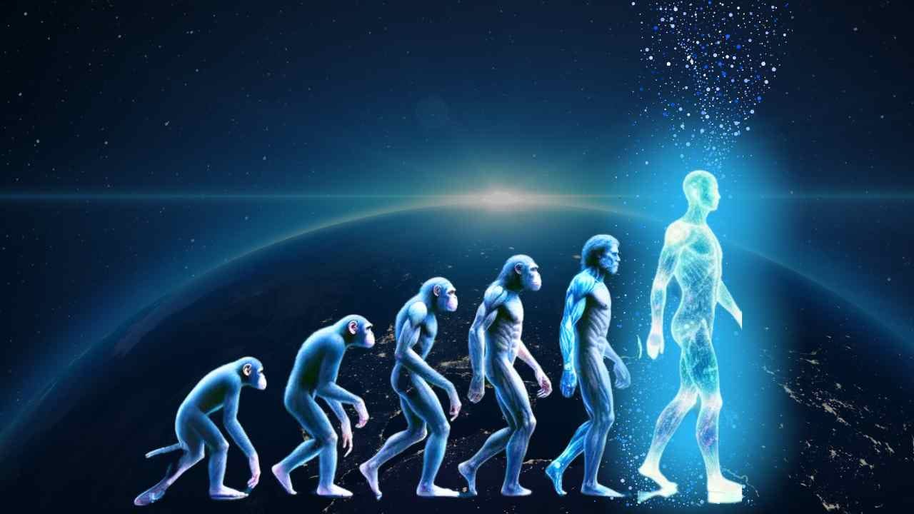 Evolution With Humans