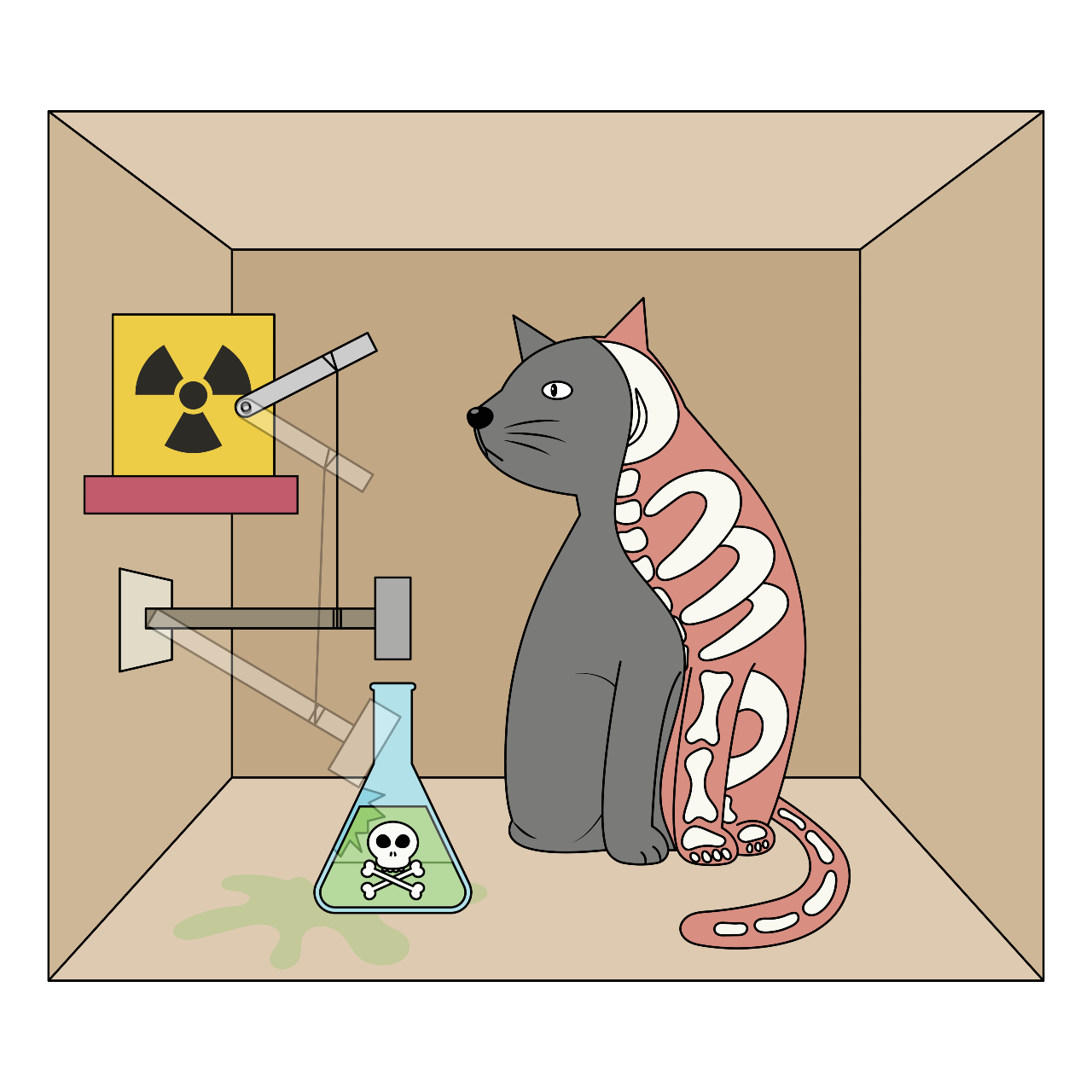 Schrodinger Cat Experiment