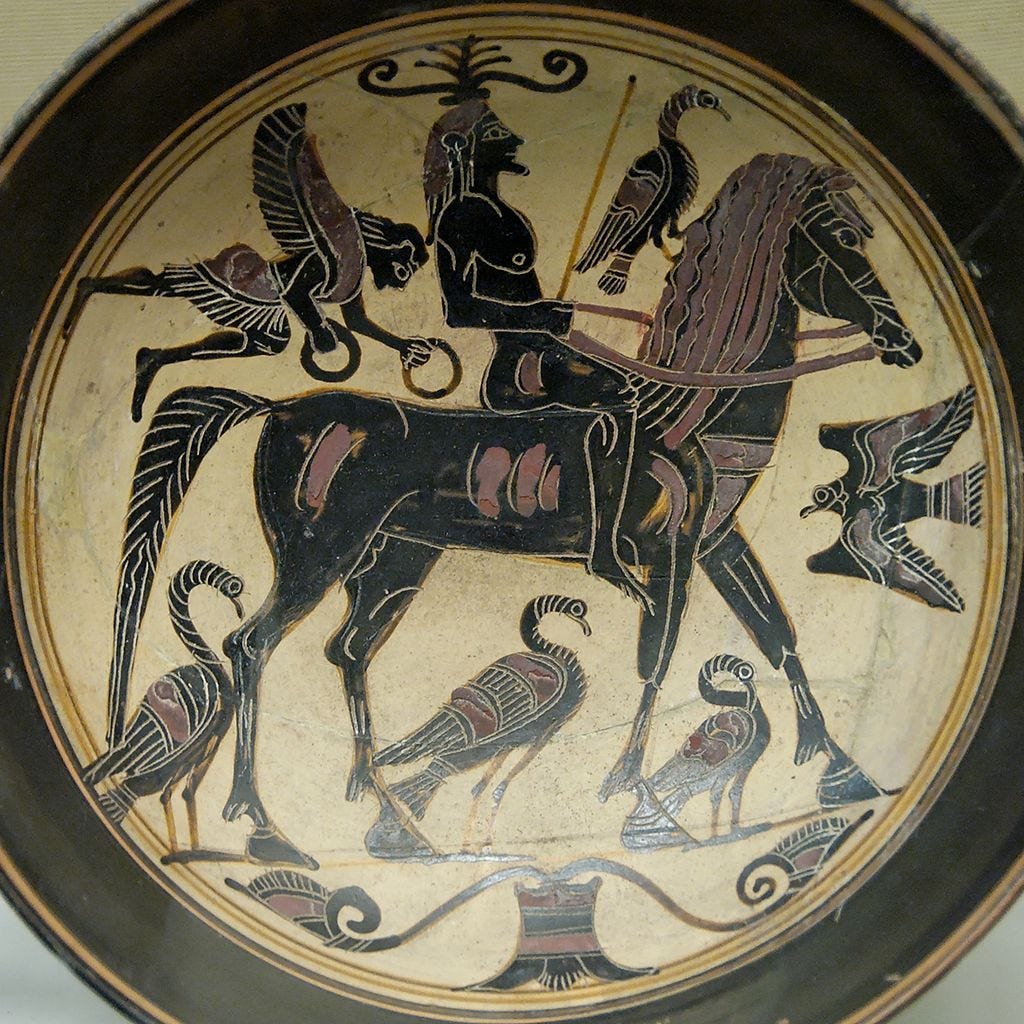 Roman Observing Birds