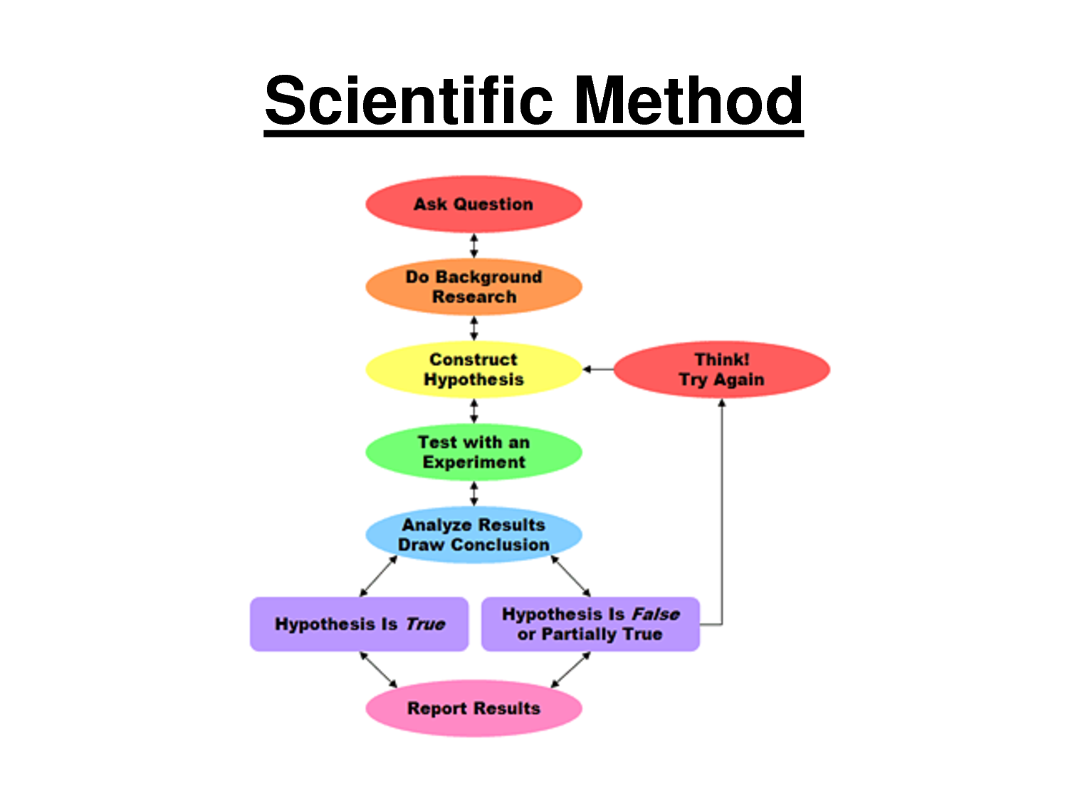 Draw Conclusions Scientific Method Scientific Method | PDF