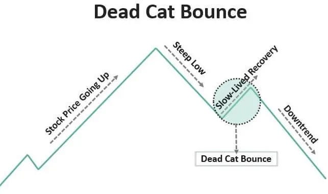 Dead Cat Bounce Memes