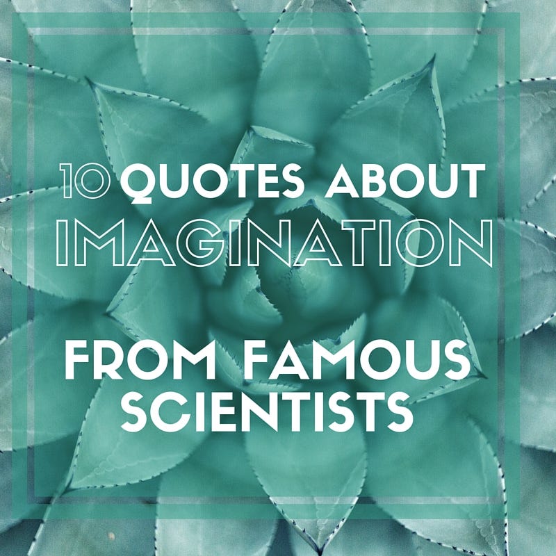 Imagination And Science Quotes