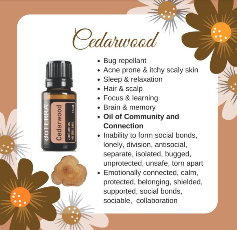 What Are The Benefits Of Cedar Trees