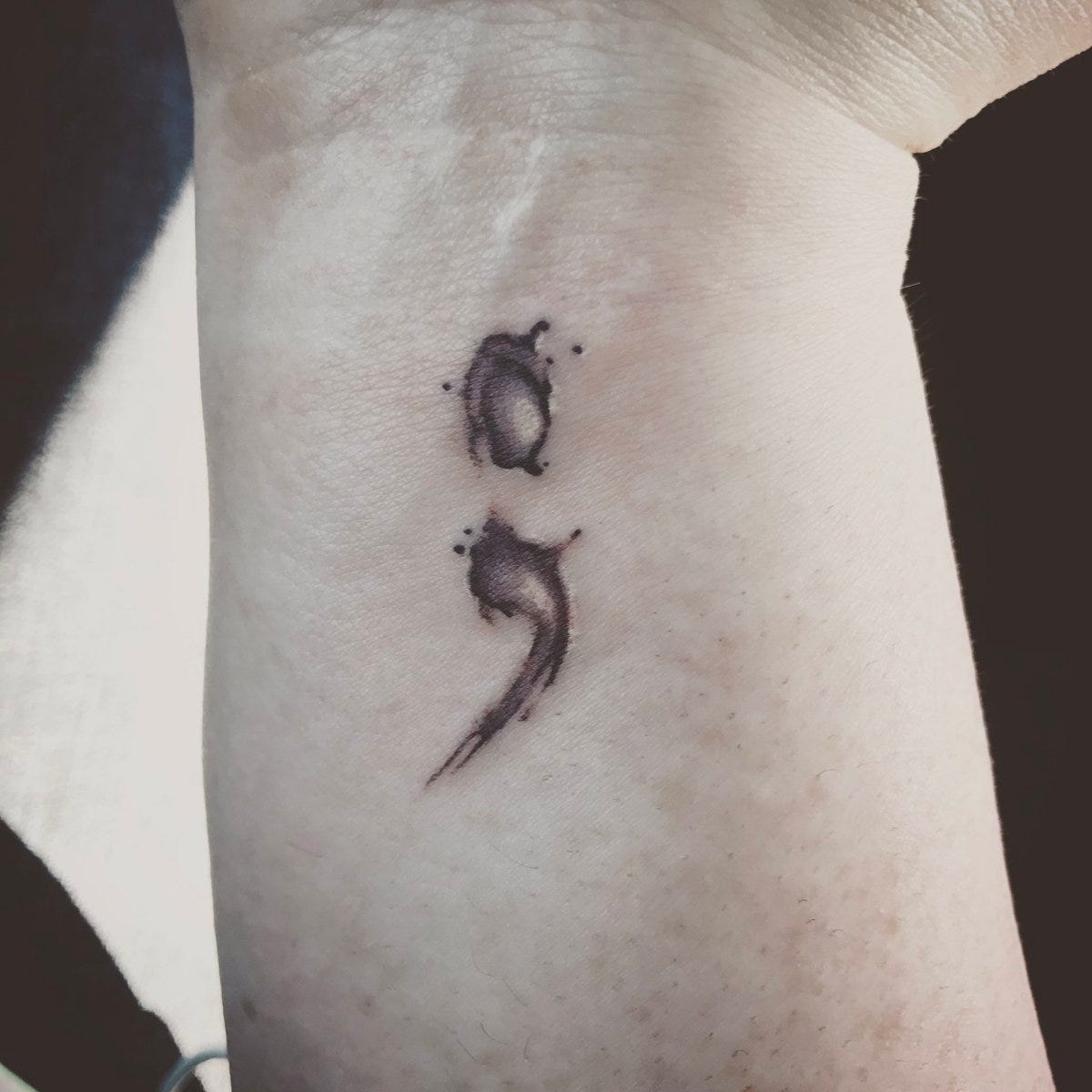 Semicolon Project 2025