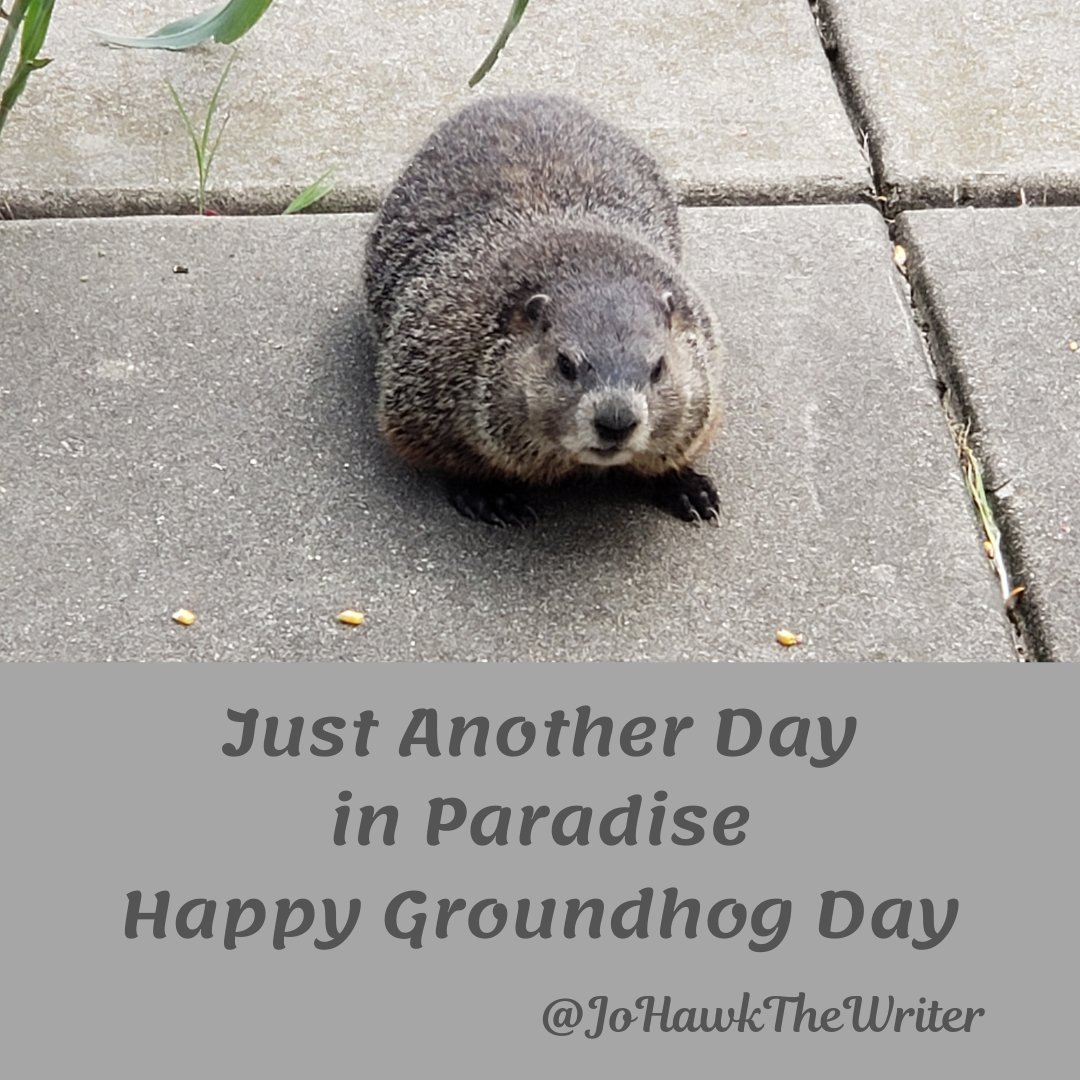 Happy Groundhog Day Quotes