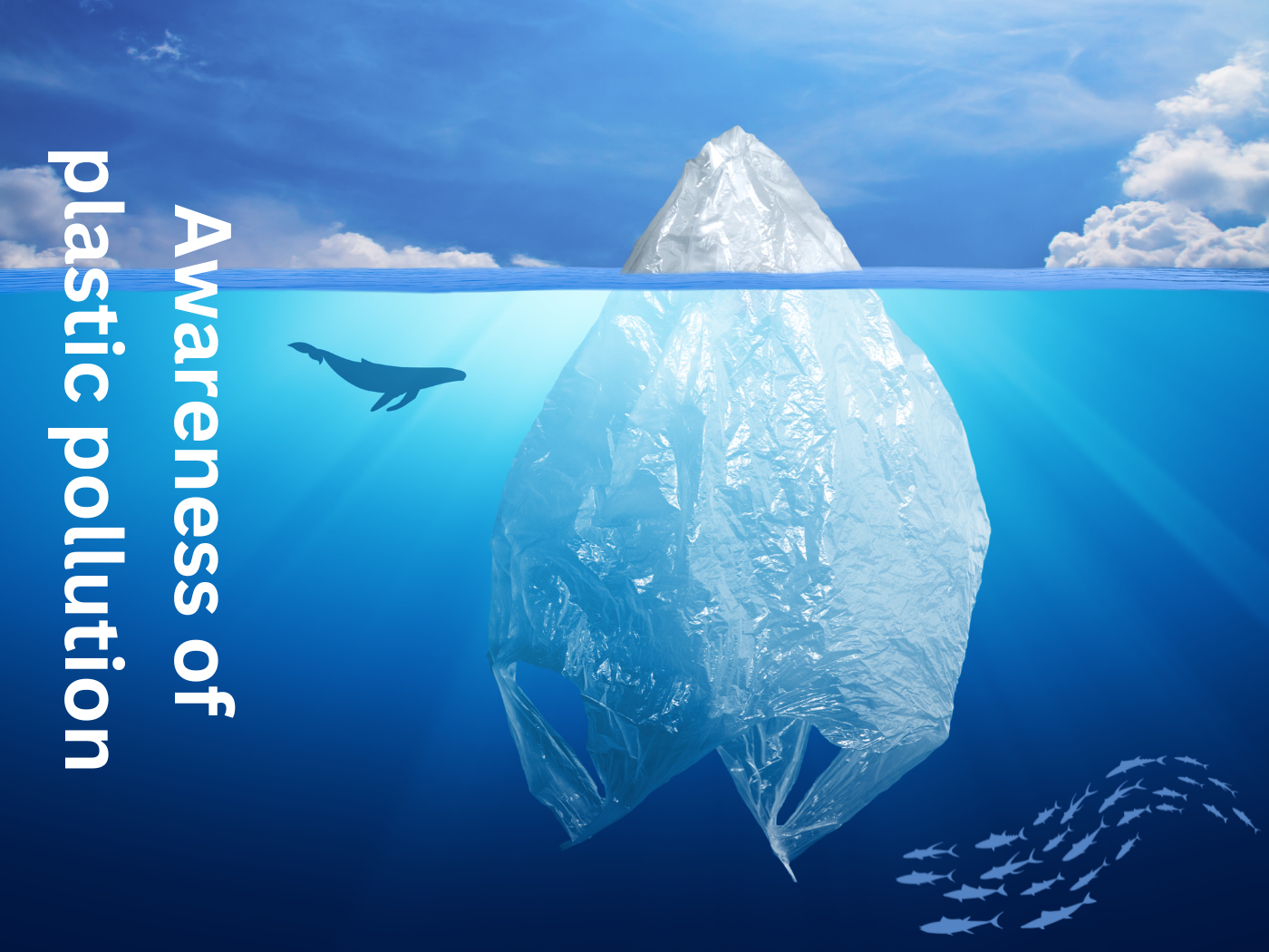 Blue Planet Plastic Pollution Awareness 2018