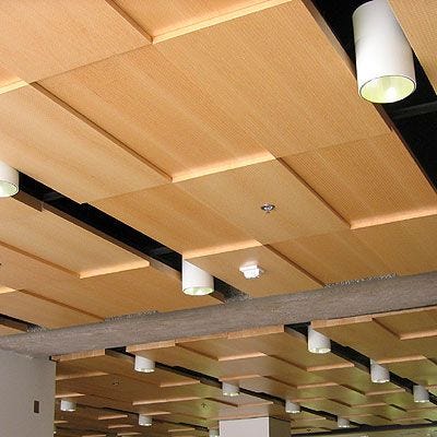 Commercial Ceiling Design
