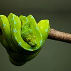 Tips and Tricks for Handling Logging Files in Python | by Ng Wai Foong | Better Programming | Medium