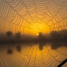 Are Lesser and Lesser Quality Distractions “Getting You”? | by Benjamin ...