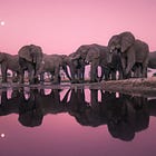 Code Review Process: Best Practices | by Cuelogic Technologies ...