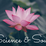 Exploratory Factor Analysis. A sciku (science haiku) | by Lucy Dan 蛋小姐 ...